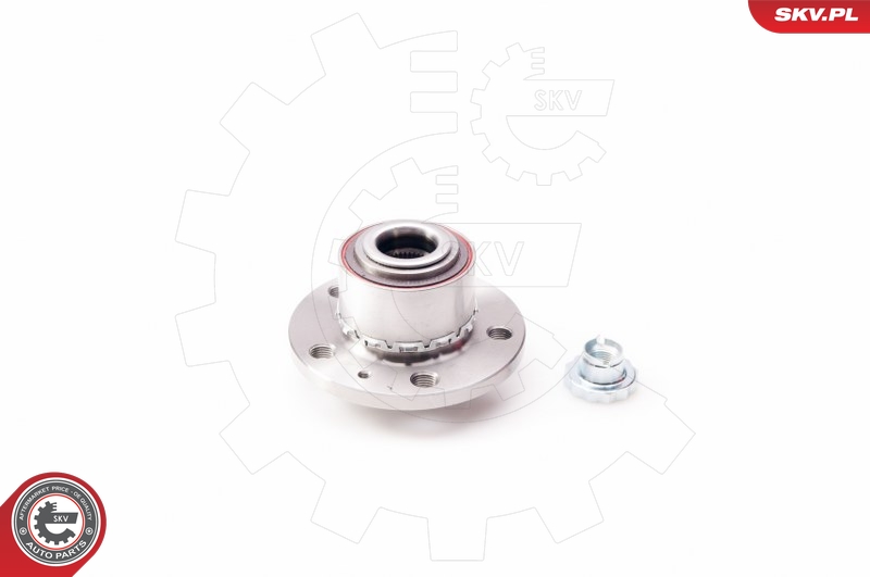 ESEN SKV 29SKV005 Sada ložisek kol